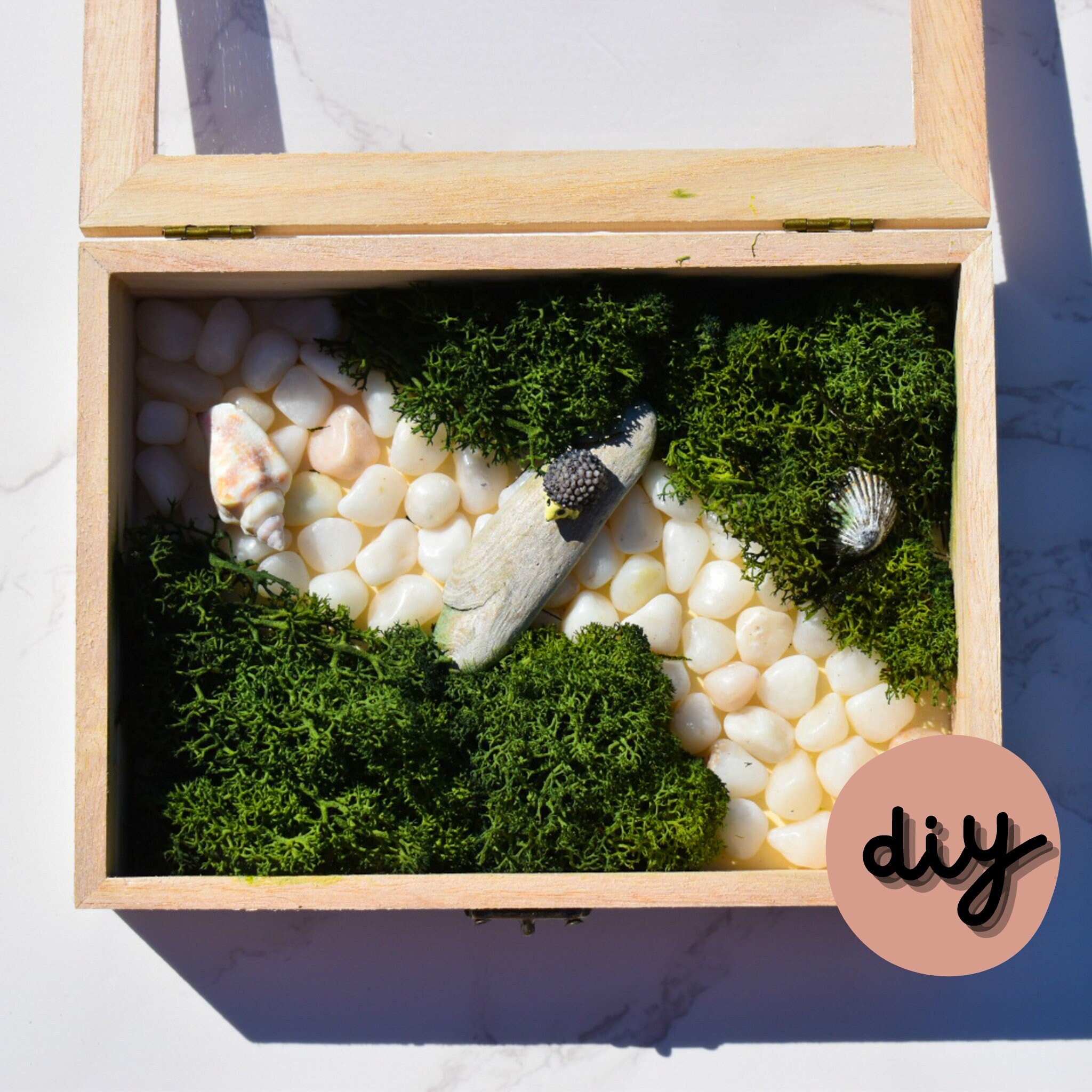 Christmas Gifts Holiday Gifts DIY Moss Art DIY Kit Moss - Etsy