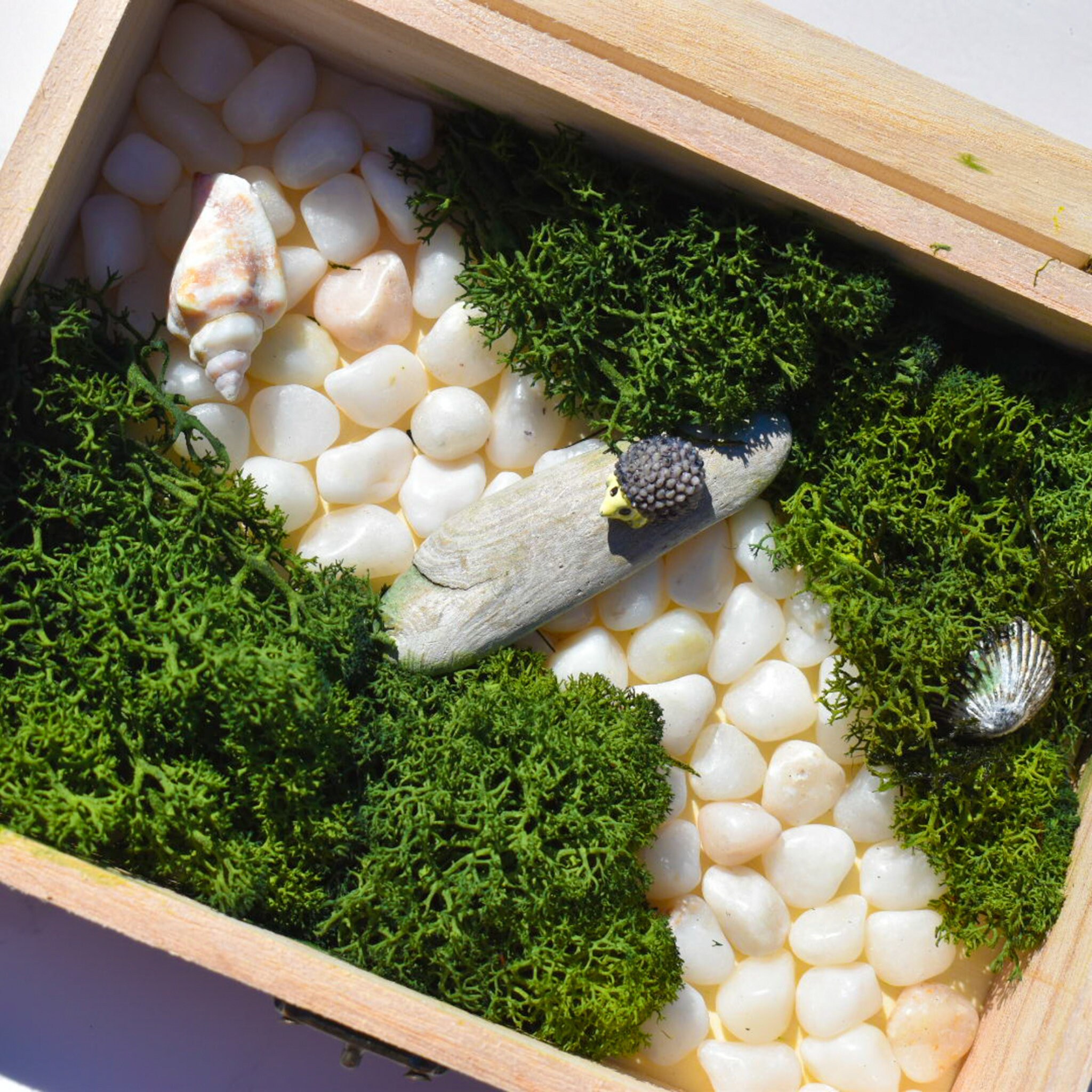 Christmas Gifts Holiday Gifts DIY Moss Art DIY Kit Moss - Etsy