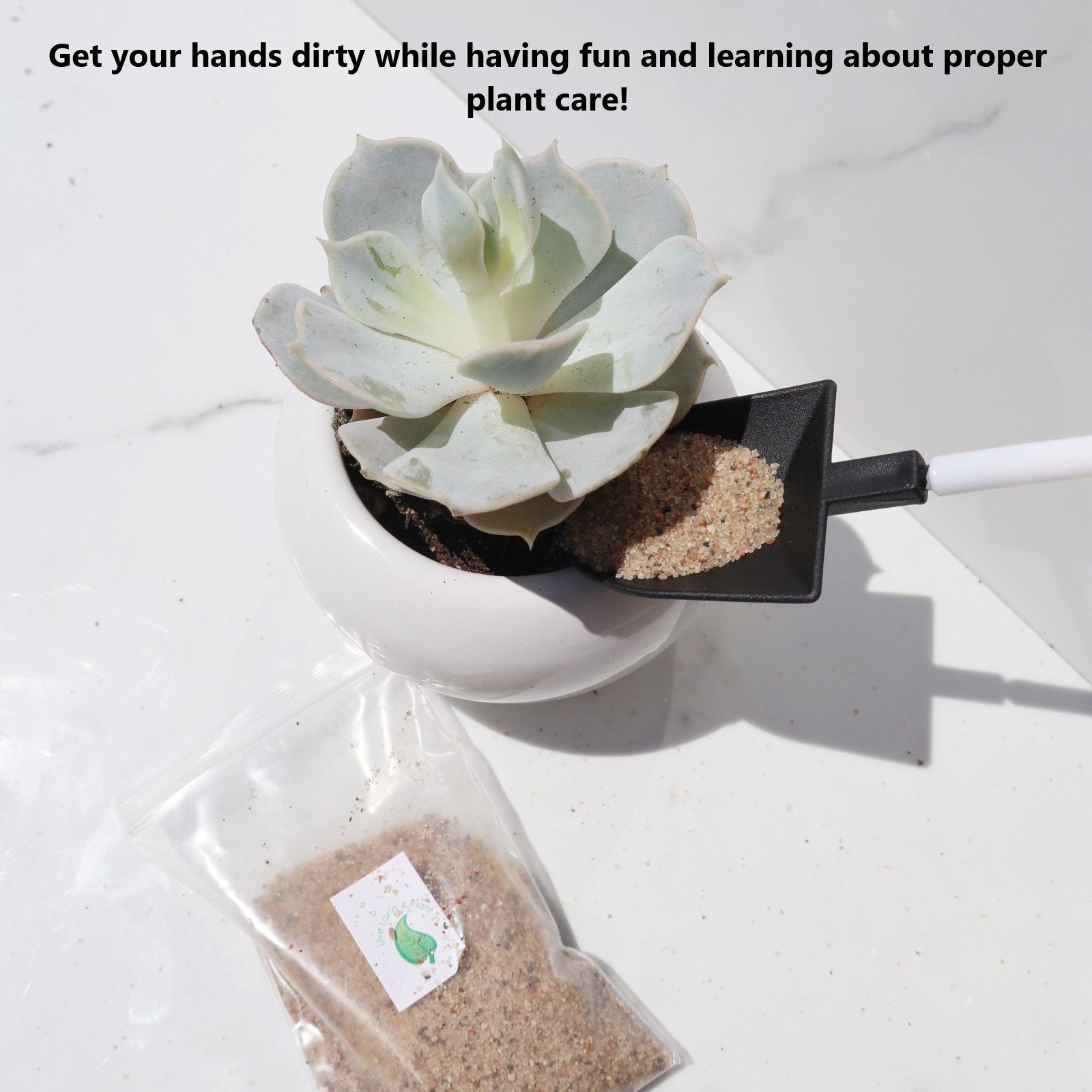 Plant Gift Box Gift for Women Gifts for Women Plant Gifts | Etsy