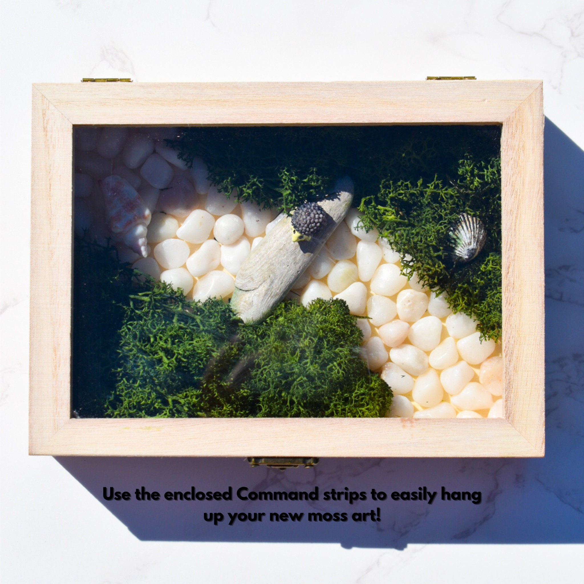 Christmas Gifts Holiday Gifts DIY Moss Art DIY Kit Moss - Etsy