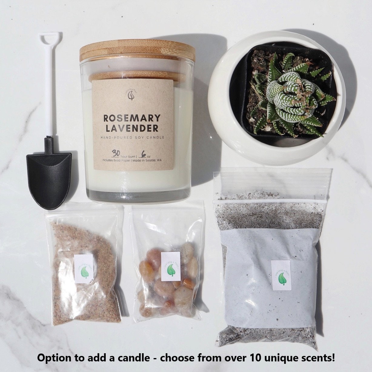 Plant Gift Box Gift for Women Gifts for Women Plant Gifts | Etsy