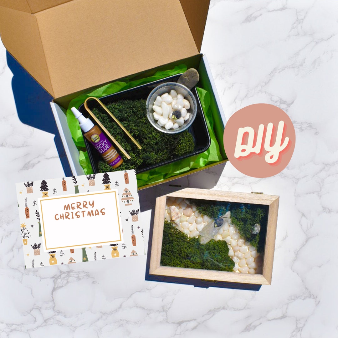 Christmas Gifts, Holiday Gifts, DIY Moss Art, DIY Kit, Moss Art, Moss ...