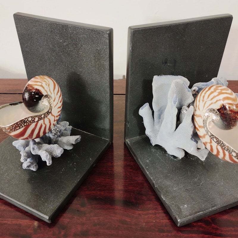 Shell Bookends - Etsy