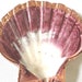 Round Laminated Mother of Pearl Bowl With Sterling Silver Trim on Rim ...