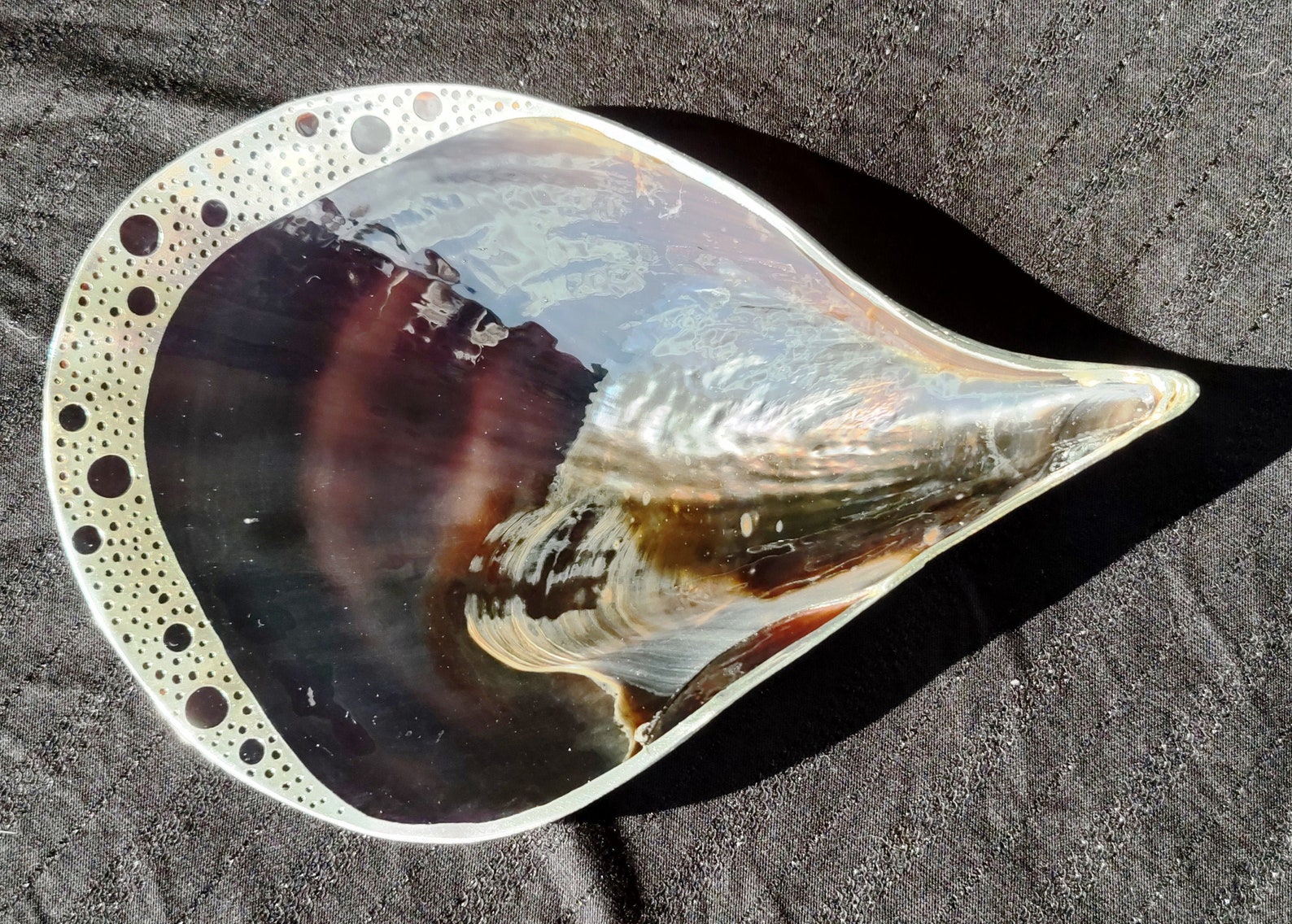 Black Pen Shell Dish With Silver Plating in a Bubble Design - Etsy