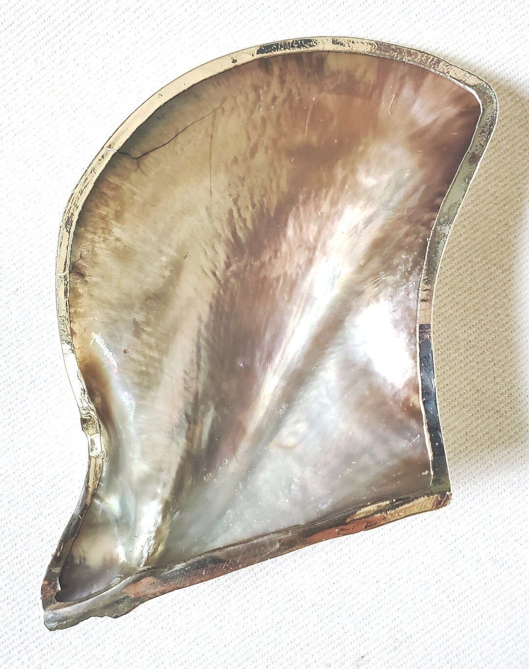 Mabe Shell Silver Plated - Etsy