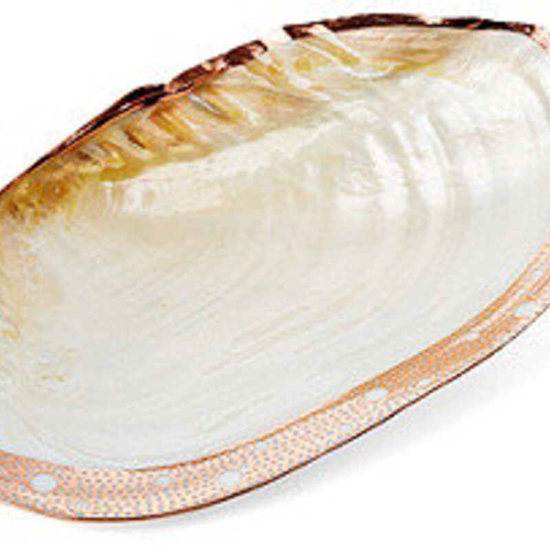 Mussel Shells - Etsy