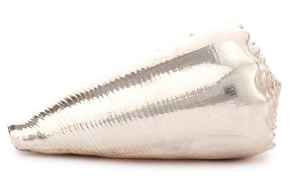 Silver Plated Cone Shell - Etsy