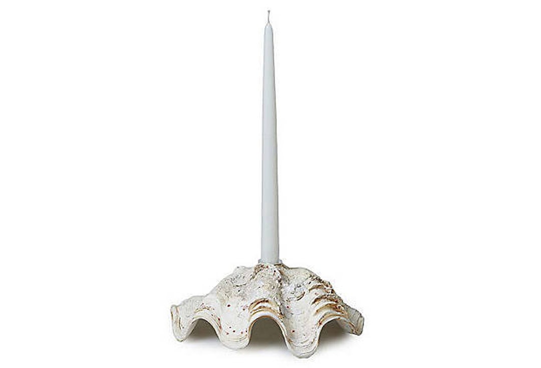 Squamosa Clam Shell Taper Candle Holder With Sterling Silver Insert - Etsy
