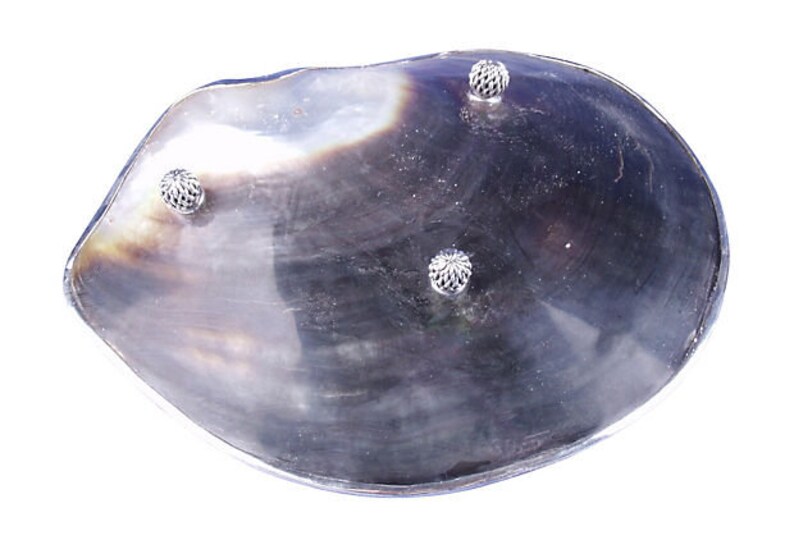 Black Mother of Pearl Shell From French Polynesia Surrounded - Etsy