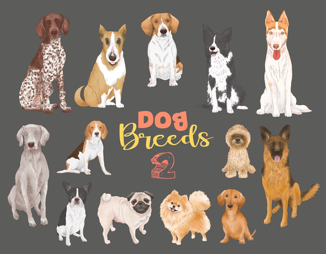 Dog Graphics Dog Watercolor Clipart Dog Breeds Digital | Etsy