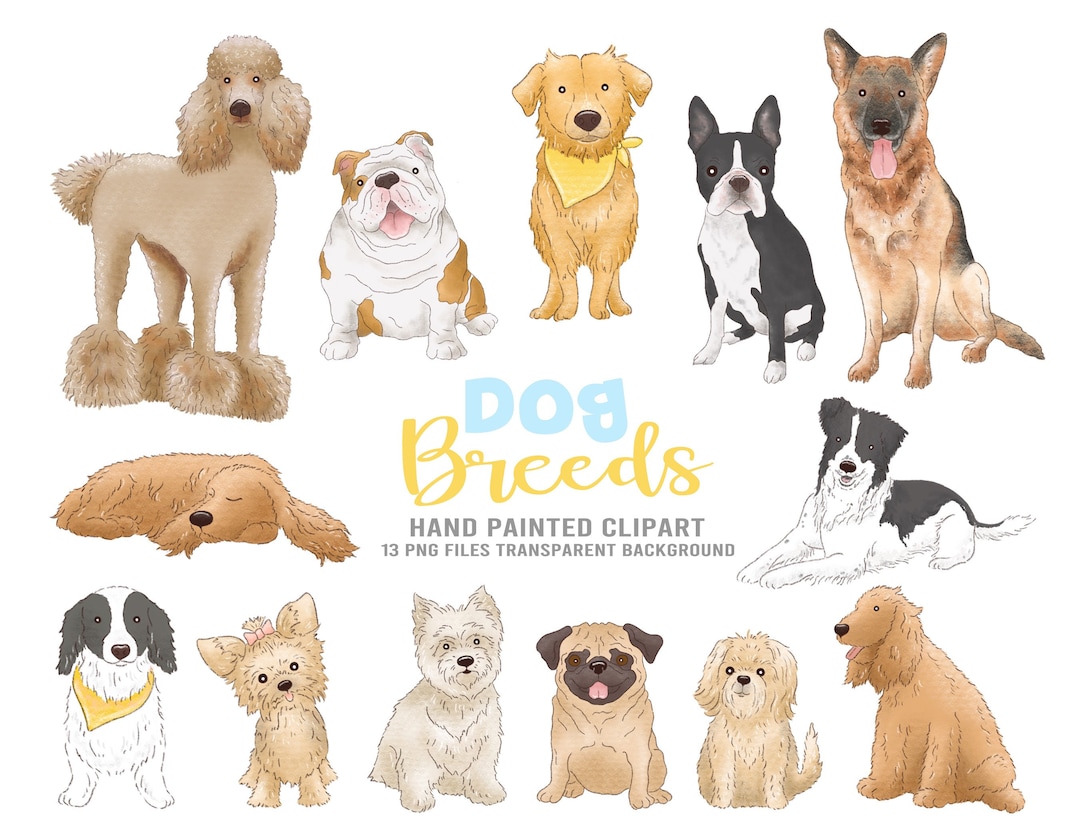 Dog Breeds Clip Art, Hand Painted Mixed Dogs Drawing, Puppy Digital ...