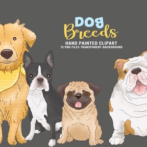 Dog Breeds Clip Art, Hand Painted Mixed Dogs Drawing, Puppy Digital ...