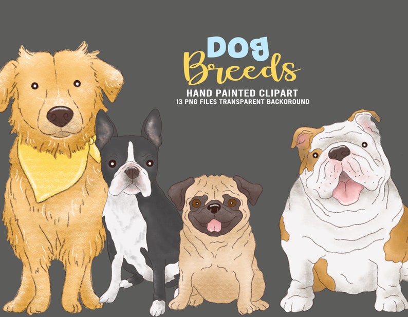 Dog Breeds Clip Art Hand Painted Mixed Dogs Drawing Puppy - Etsy