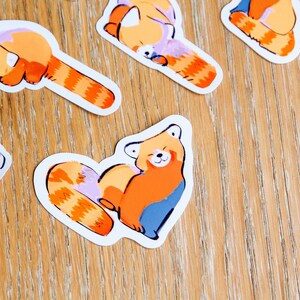 Red Panda Sticker Pack ~ Waterproof Vinyl Cute Kawaii Glossy Stickers ...