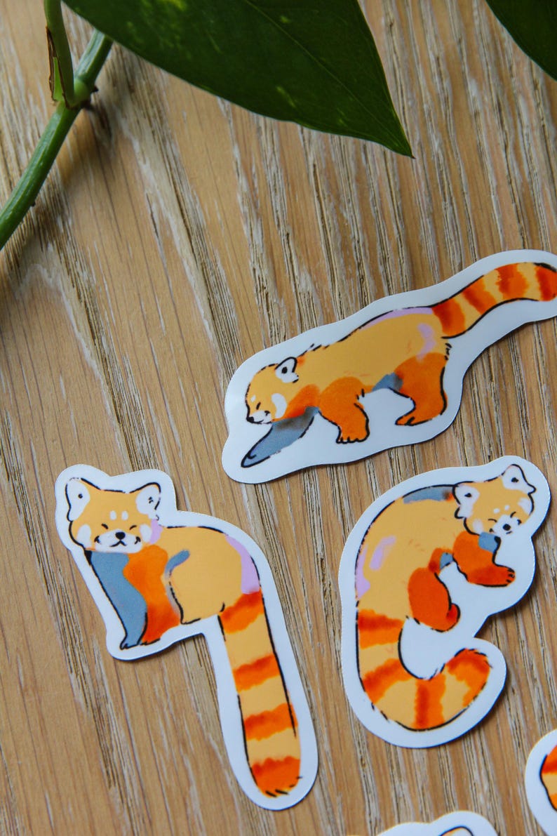 Red Panda Sticker Pack, Cute Kawaii Glossy Vinyl Decals - Etsy