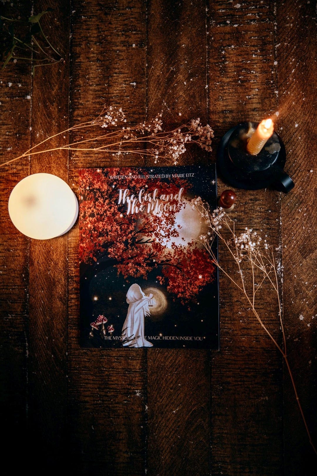 The Girl and the Moon | Children’s Book | Christmas Gift | Magical ...