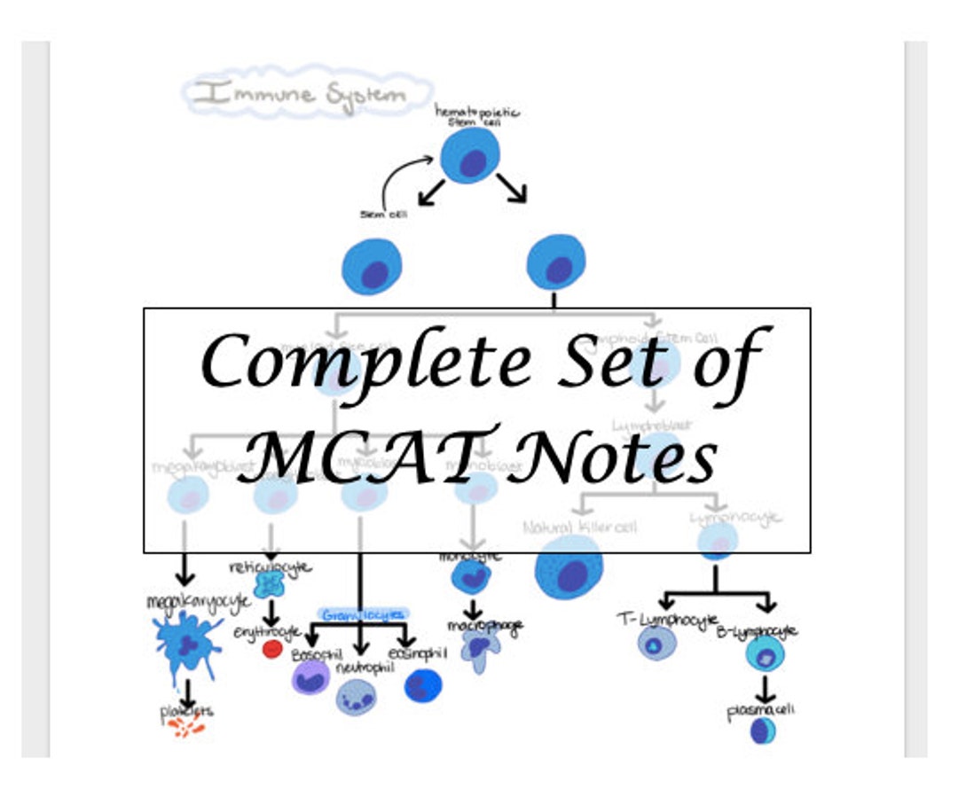 Complete Set of MCAT Notes - Etsy