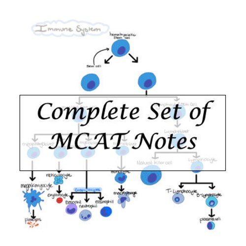 MCAT Comprehensive Biochemistry Metabolic Pathway Study Guide | Etsy