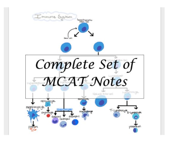 Complete Set of MCAT Notes - Etsy