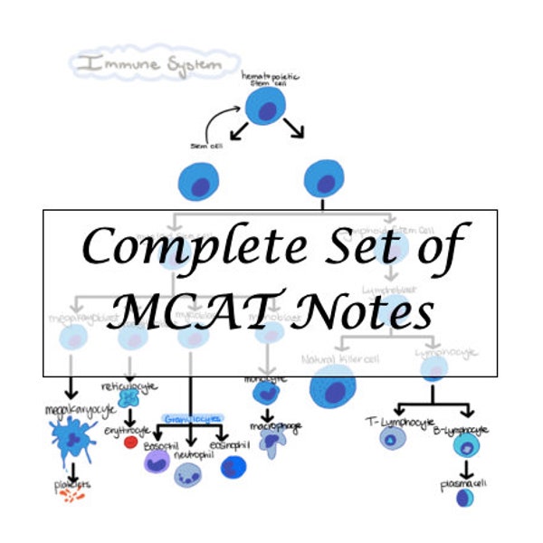 Mcat Notes - Etsy