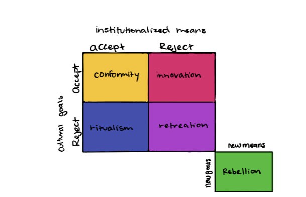 Complete Set of MCAT Notes pt 2 - Etsy
