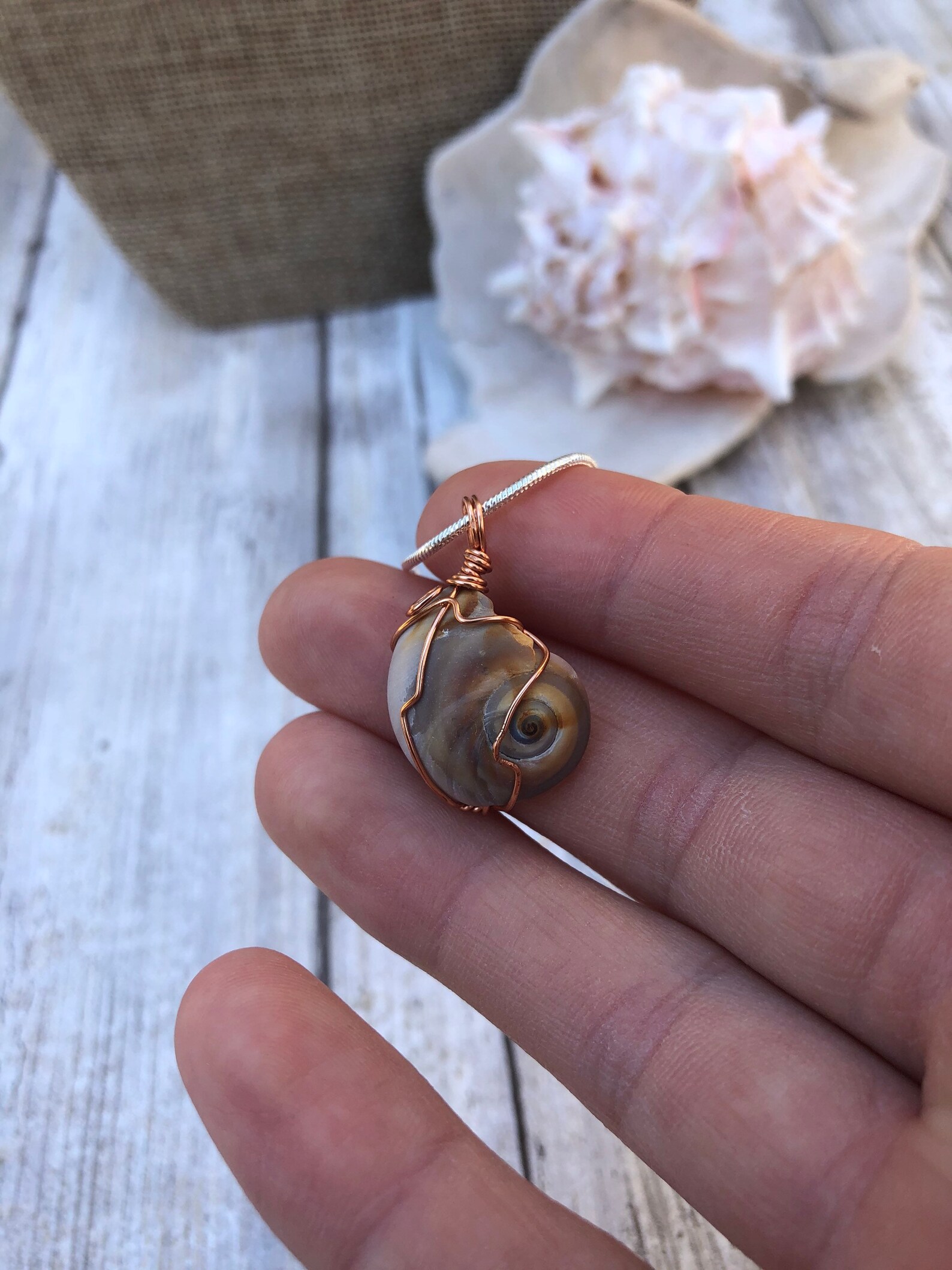 Mini Sea Snail Wire Wrapped Shell. Swirly shell necklace. | Etsy
