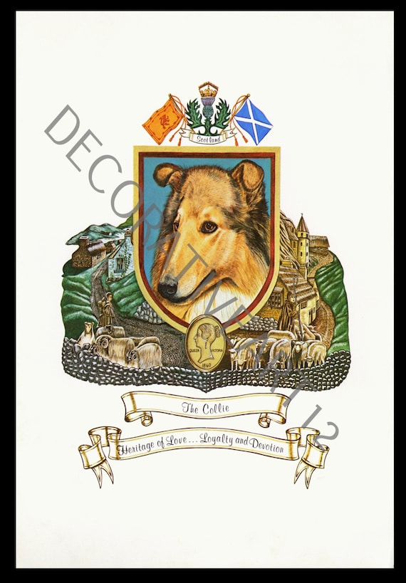 Hound Coat Of Arms