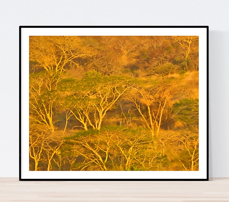 African Tree Wall Art/african Art Print/african Art Photography - Etsy