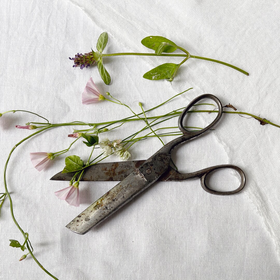 Tailor Scissors by J.A. Henckels – Vintage Solingen Steel Shears - Etsy