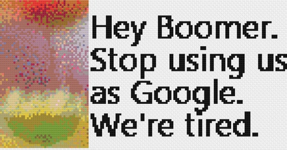 Hey Boomer... Cross Stitch PDF instant Download | Etsy