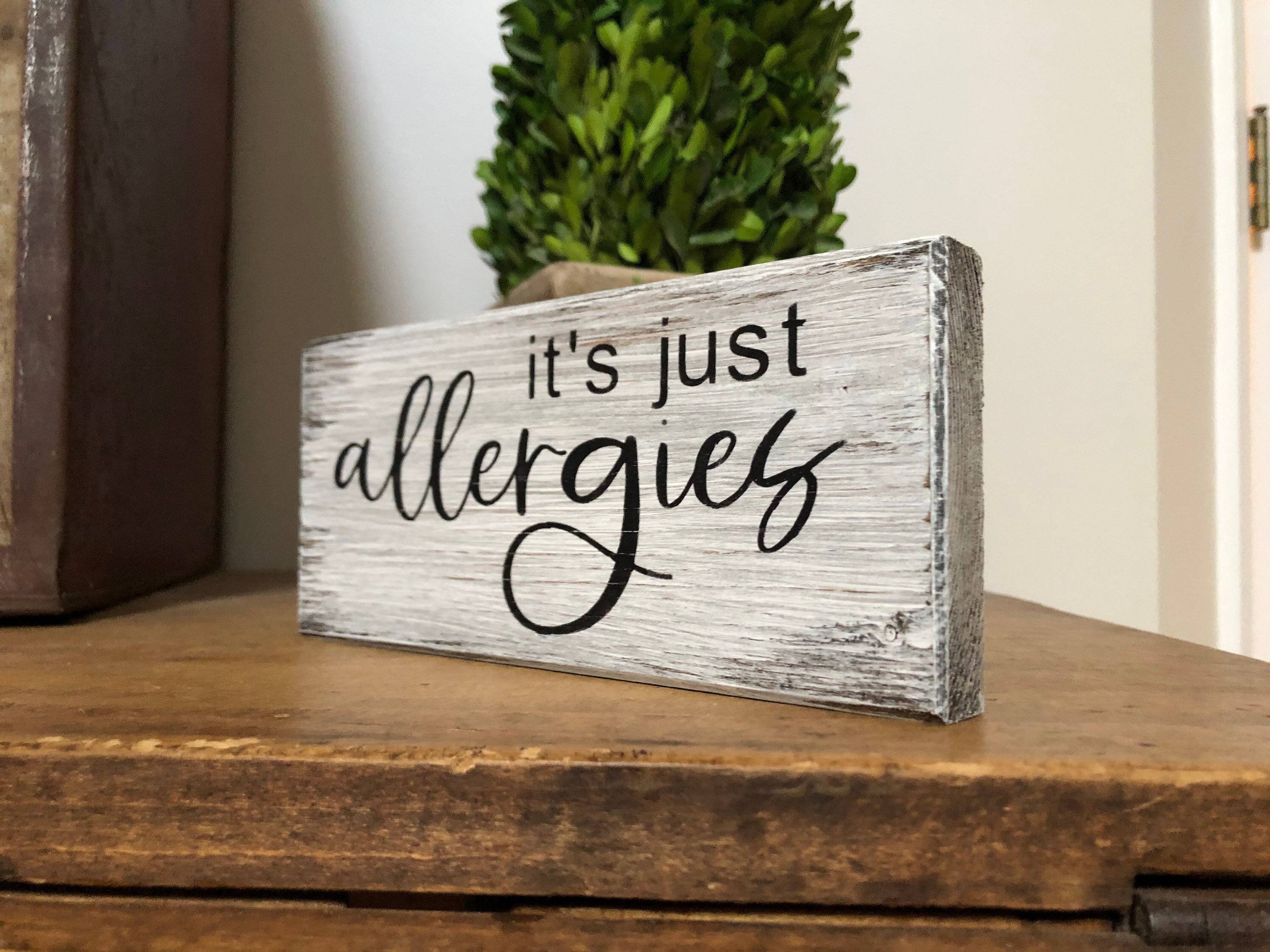 It’s Just Allergies | 8 Inch Table Sign | Shelf Sign | Block Sign - Etsy