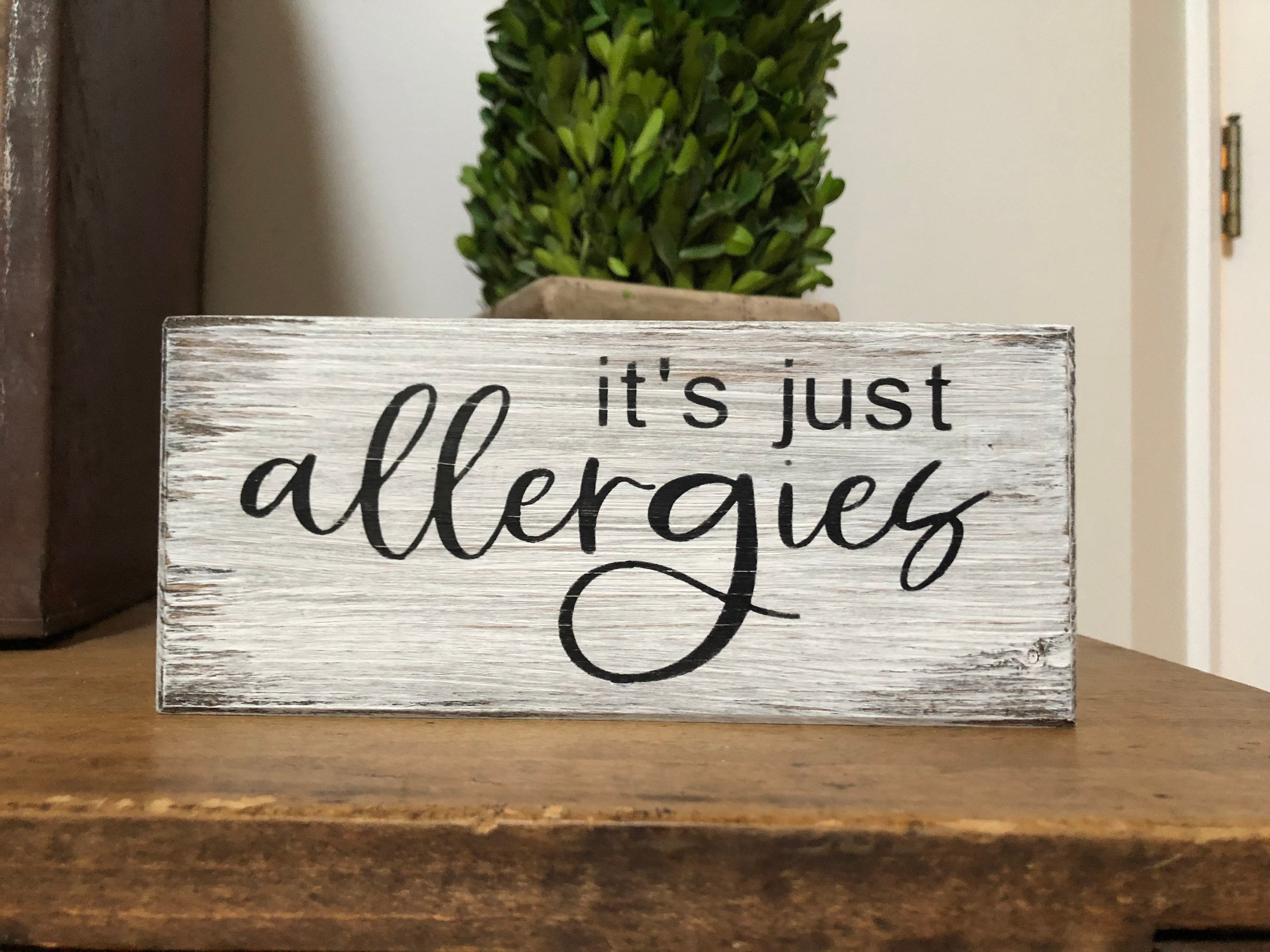 It’s Just Allergies | 8 Inch Table Sign | Shelf Sign | Block Sign - Etsy