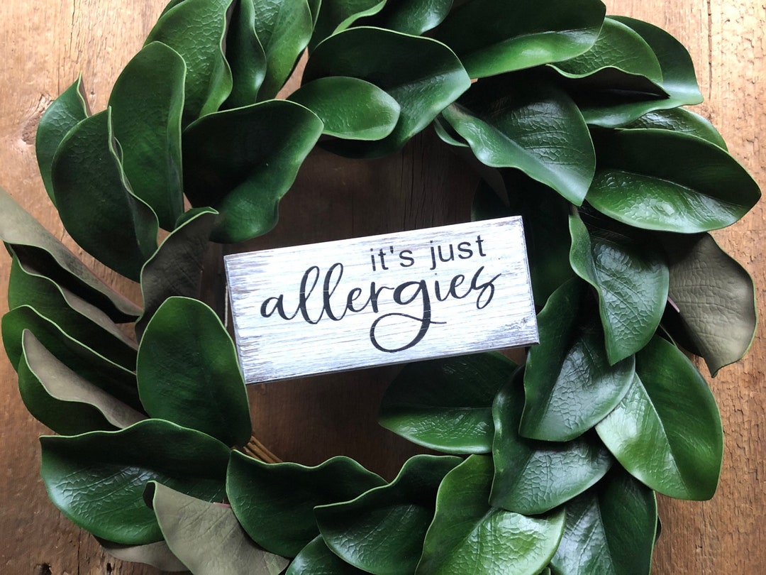 It’s Just Allergies | 8 Inch Table Sign | Shelf Sign | Block Sign - Etsy