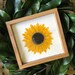 Sunflower Sign - Etsy