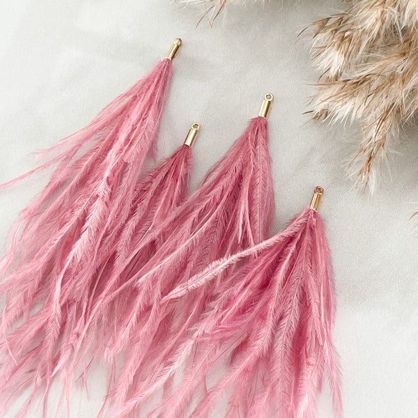 Ostrich Feather - Etsy