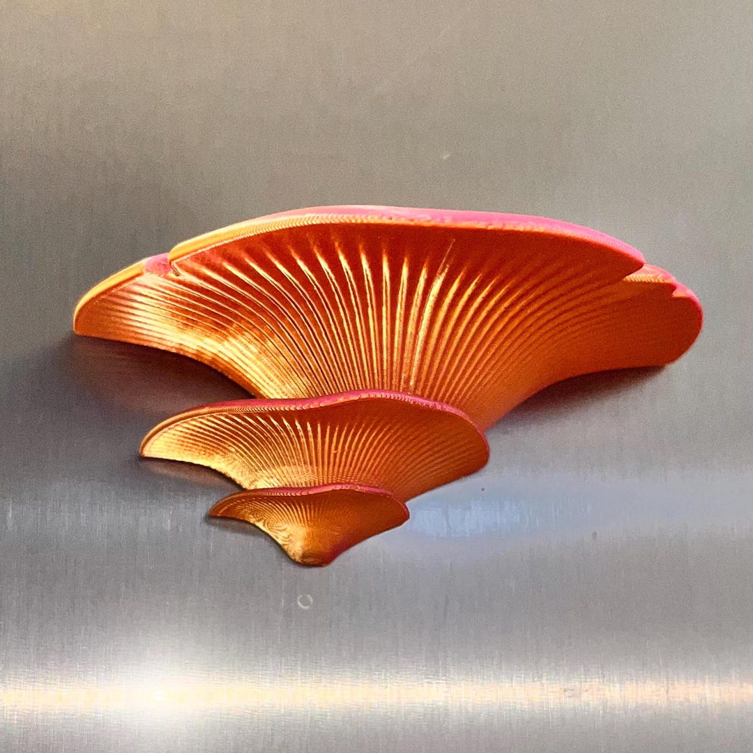 4" Floating 3D Printed Mushroom Magnets | Fungus | Fridge Magnet ...