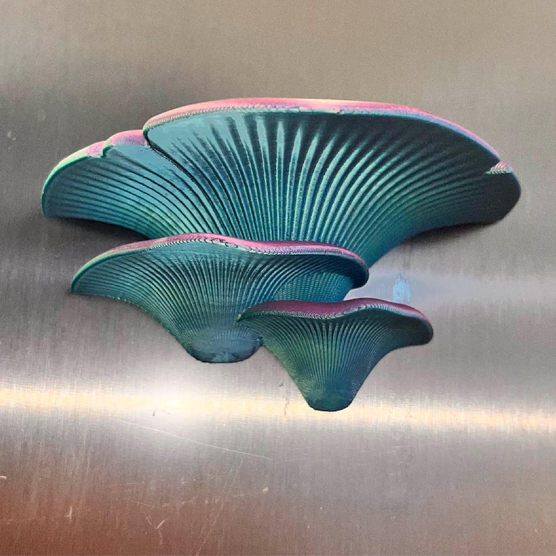 4" Floating 3D Printed Mushroom Magnets | Fungus | Fridge Magnet ...