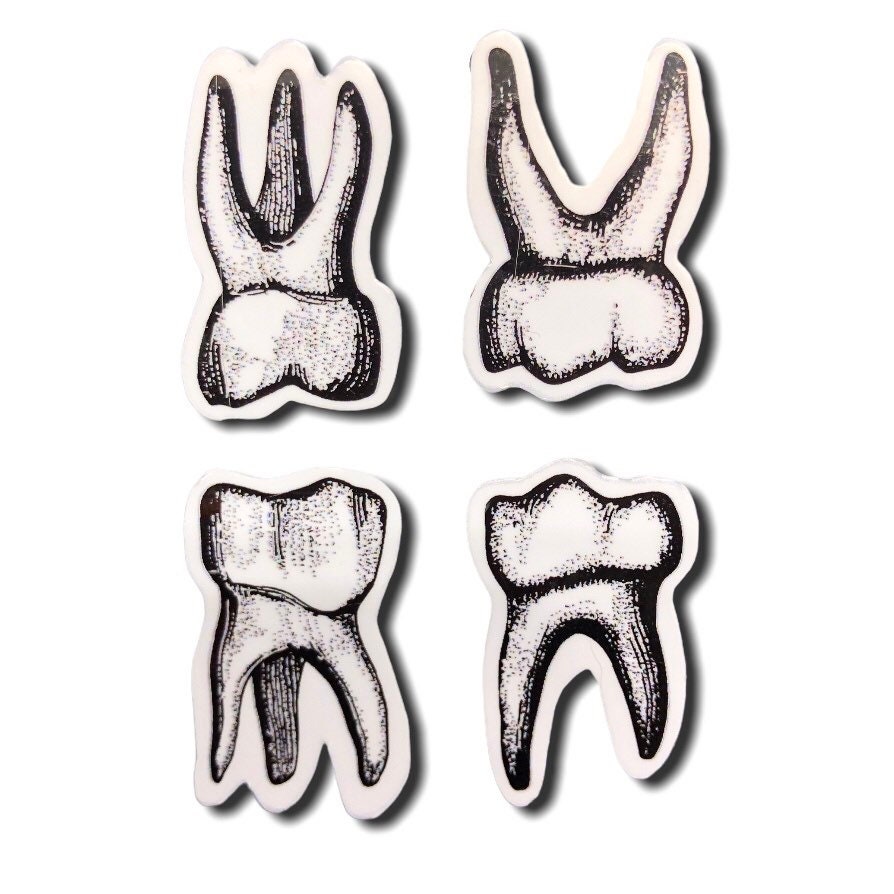 Teeth Vinyl Sticker Pack | Etsy