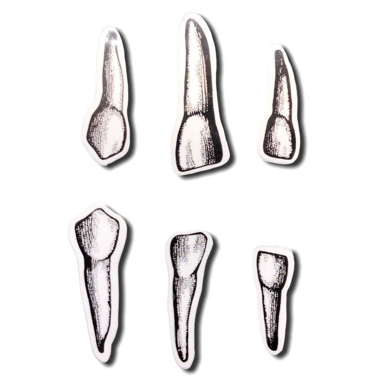 Teeth Vinyl Sticker Pack | Etsy