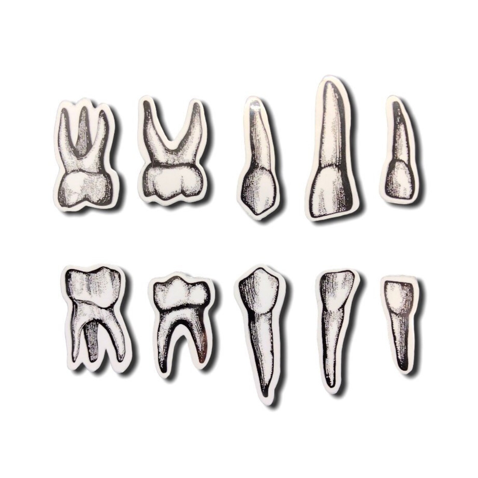 Teeth Vinyl Sticker Pack | Etsy