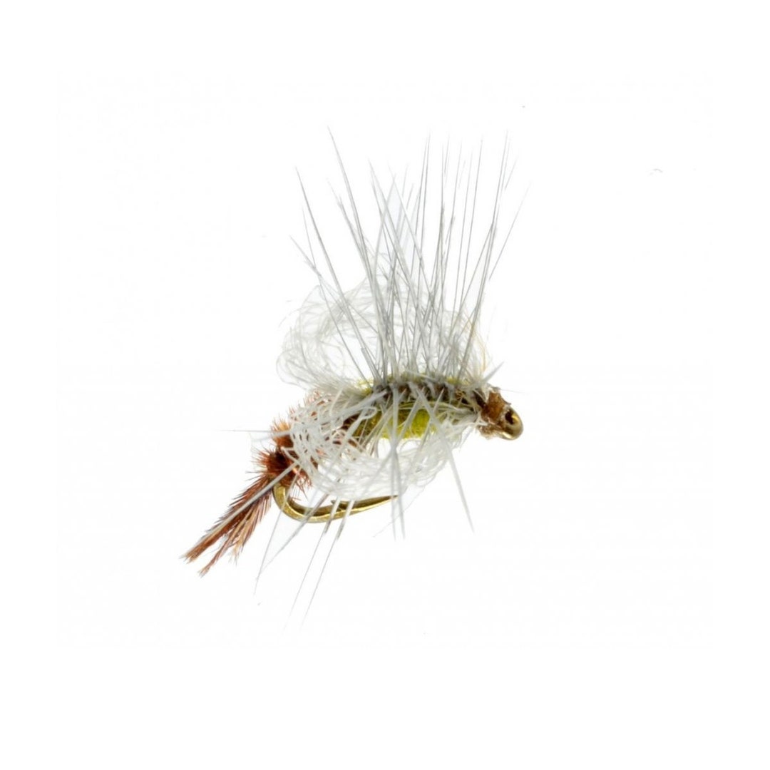 Loopy Cripple Emerger Fly - Fly Fishing Flies for Your Fly Box ...