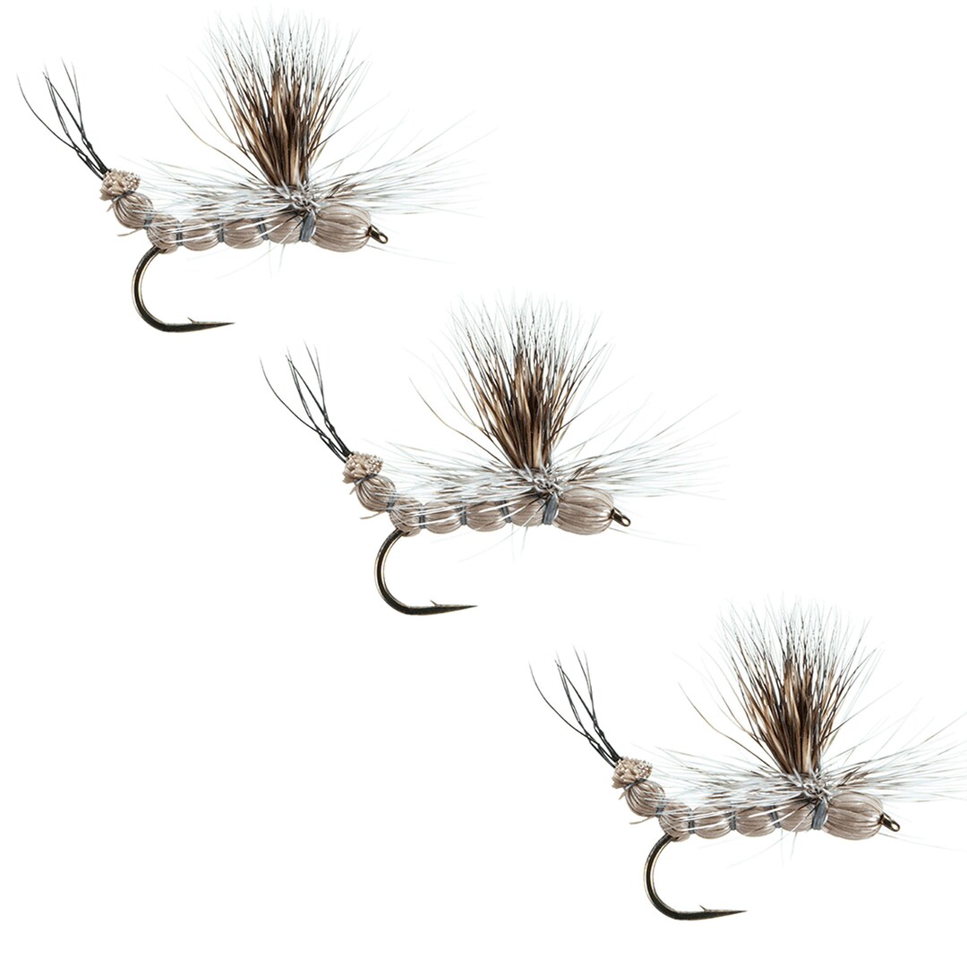 Dry Flies - Grey Drake Extended Body - Popular Dry Fly for All Fly ...