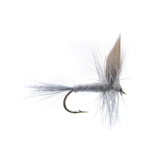 Blue Dun Dry Fly Dry Fly Patterns Hand Tied Flies for Your - Etsy Ireland