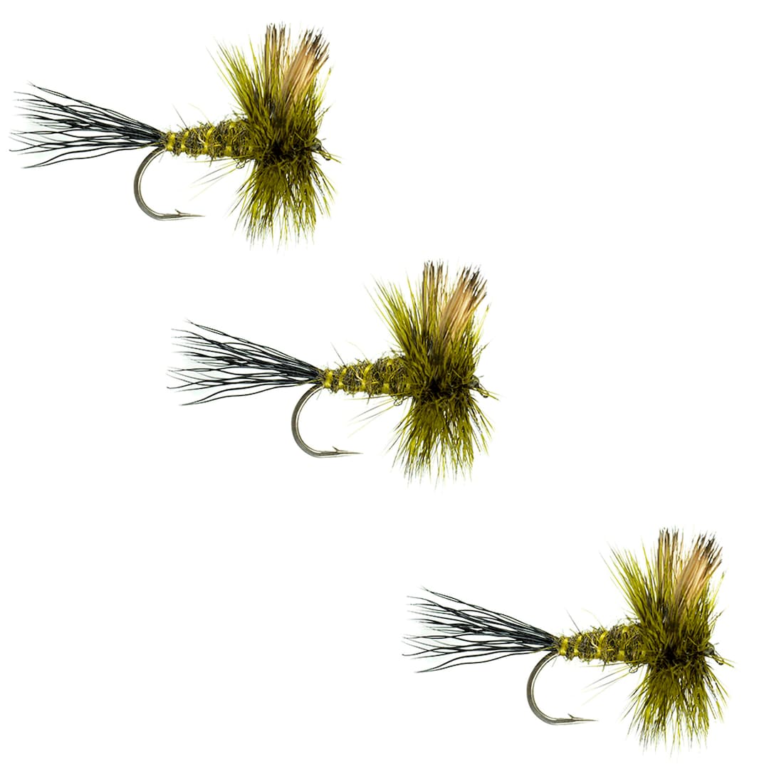 Dry Fly Patterns - Green Drake Wulff - Dry Fly Pattern - Dry Flies for ...