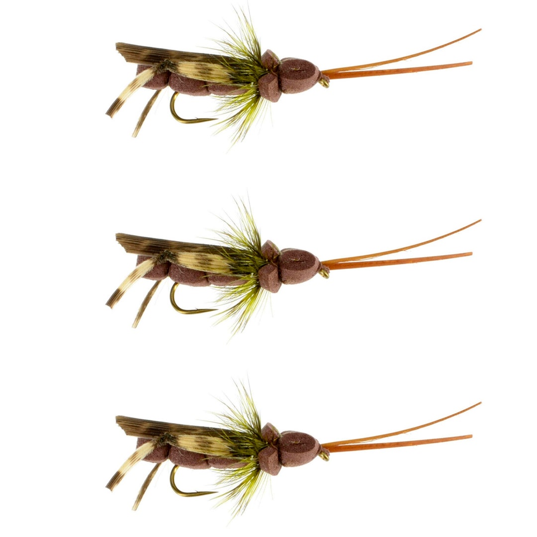 The Best Hopper Patterns - Irresistible Hopper - Terrestrial Fly ...
