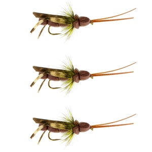 The Best Hopper Patterns - Irresistible Hopper - Terrestrial Fly ...