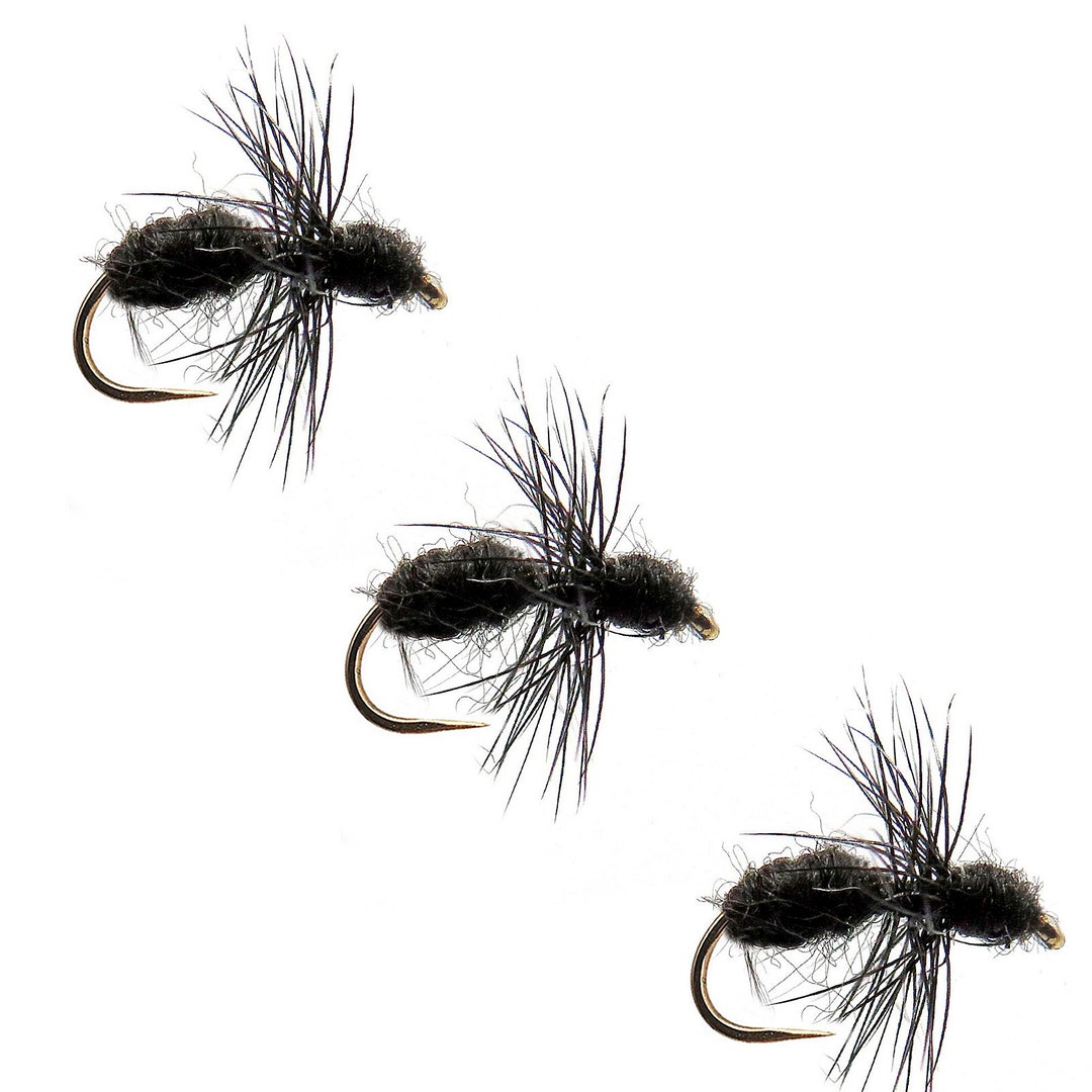 Black Ant Fly Pattern - Fly Fishing Flies for Trout and Panfish ...