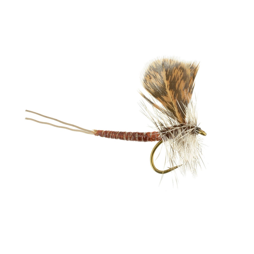 Dry Flies Brown Drake Extended Body Popular Dry Fly for - Etsy