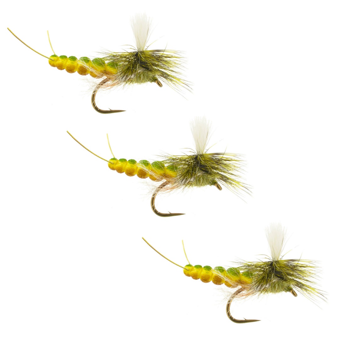 Dry Flies - Profile Green Drake - Popular Dry Fly for All Fly Boxes ...
